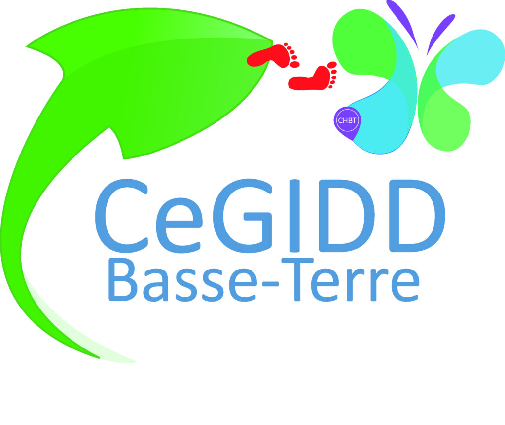 cegidd-chbt - CENTRE HOSPITALIER DE LA BASSE-TERRE
